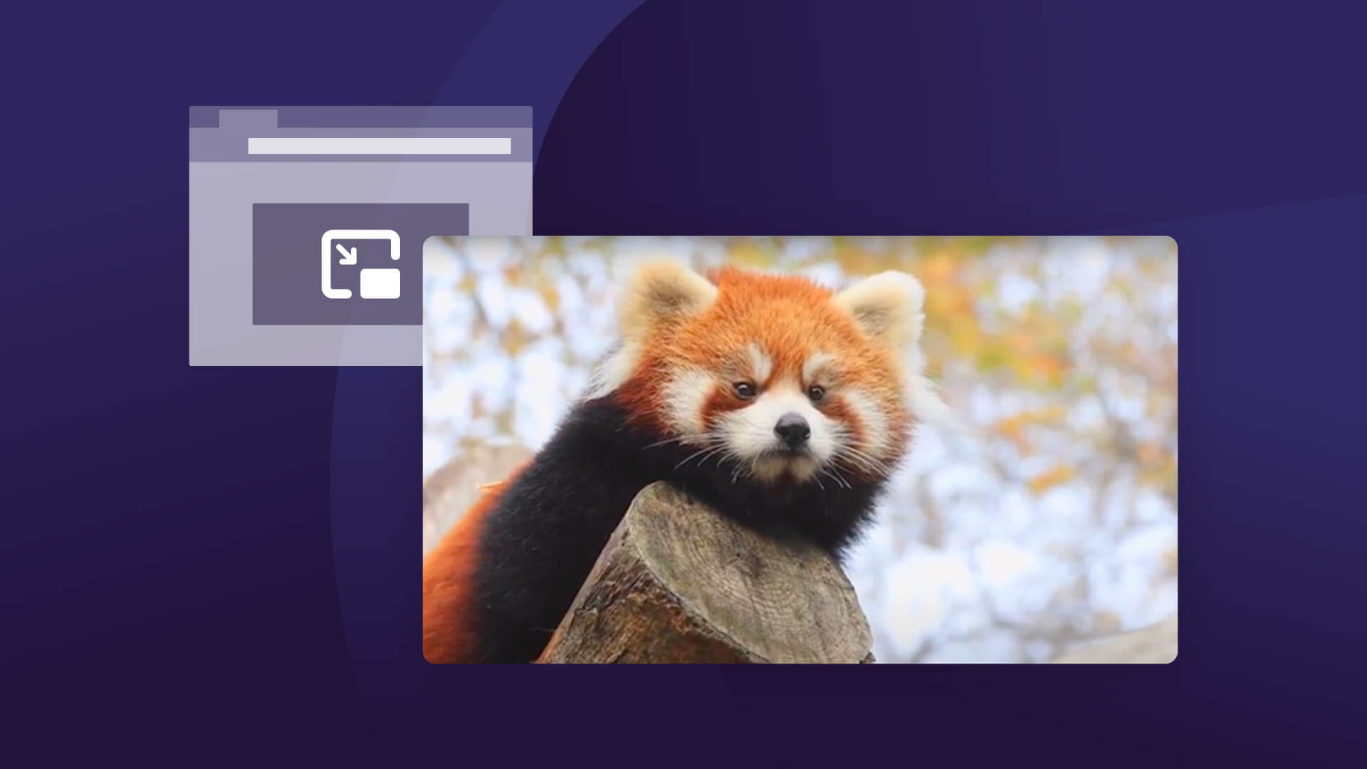 Firefox Picture-in-Picture: Get more done with pop-out videos — Firefox